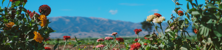 Steps to Certification - CCOF.org