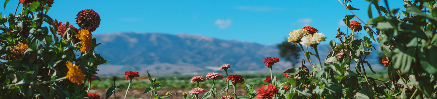 Resource Overview - CCOF.org