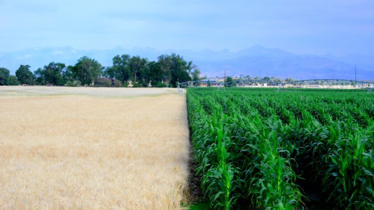 Natural Resources Conservation Service Increases Minimum Conservation ...