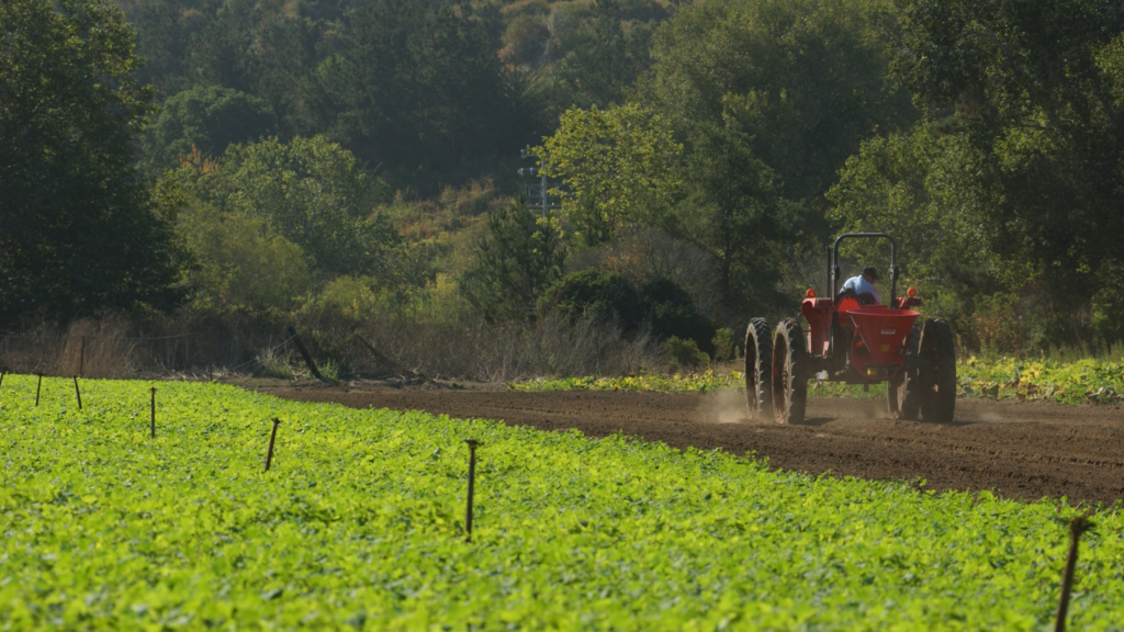 H2.0B Product Formulation Sheet - CCOF.org