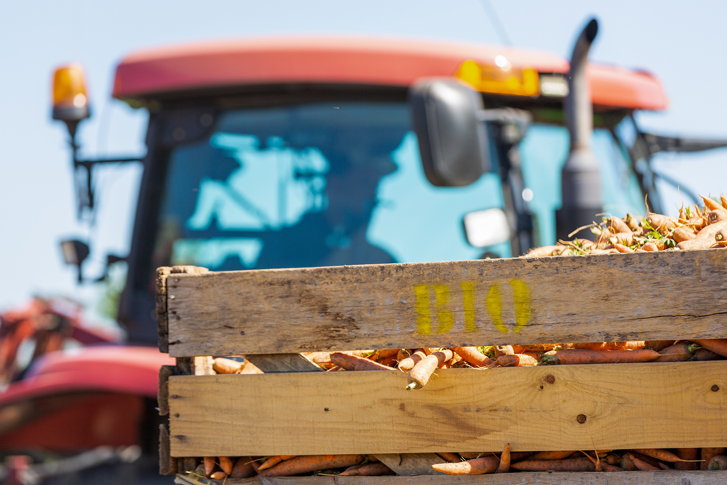 Organic Certification - CCOF.org