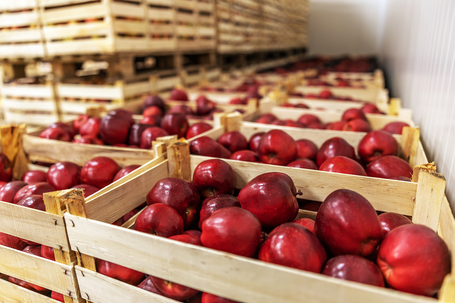 Food Safety Application - CCOF.org