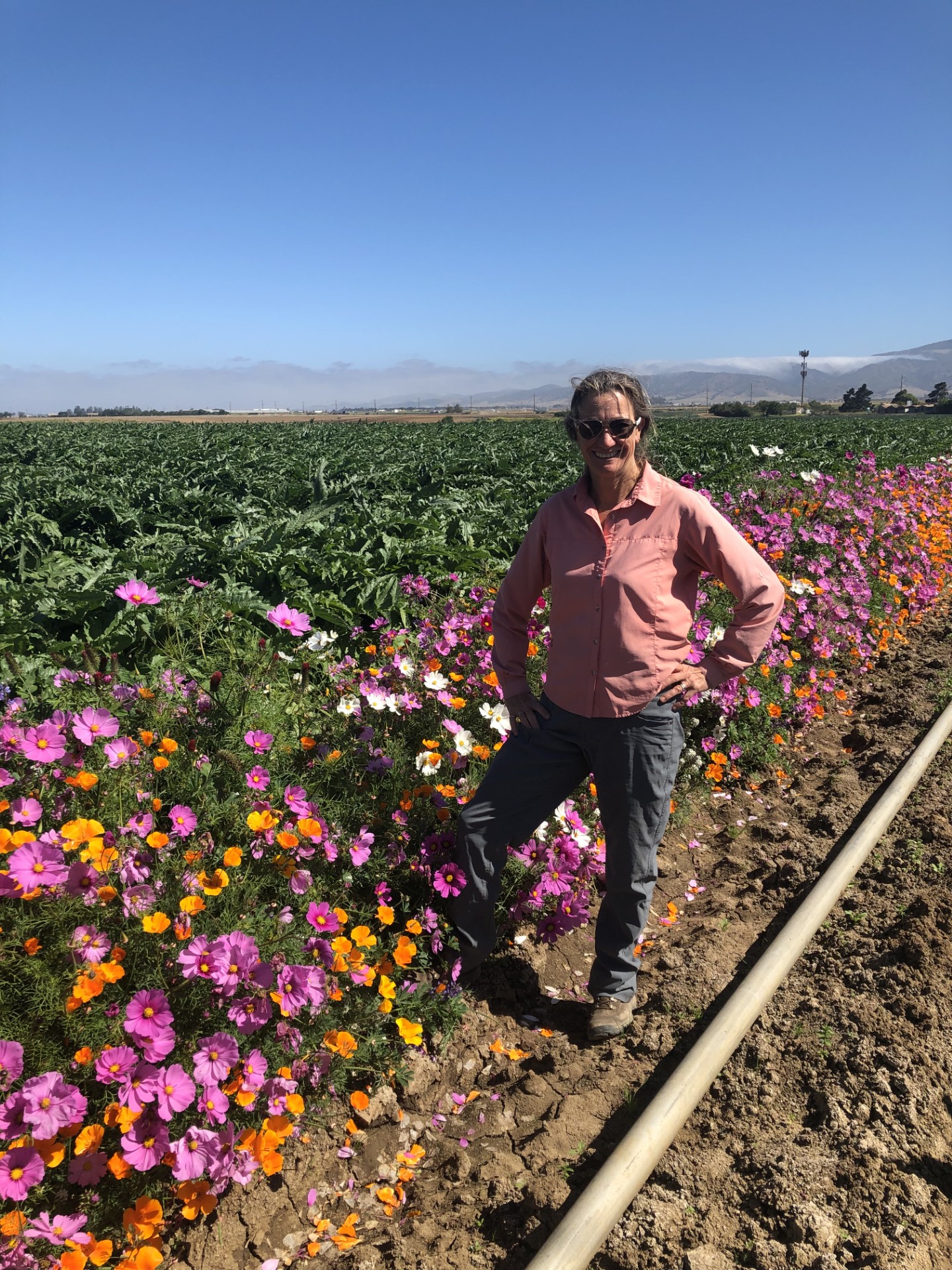 Meet Our CCOF LLC Mgmt Committee—Gina Bella Colfer - CCOF.org