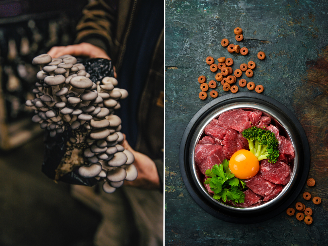 USDA Publishes New Organic Regulations: Organic Final Rule for ...