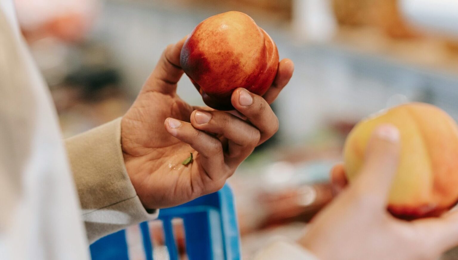 Choose Organic - CCOF.org