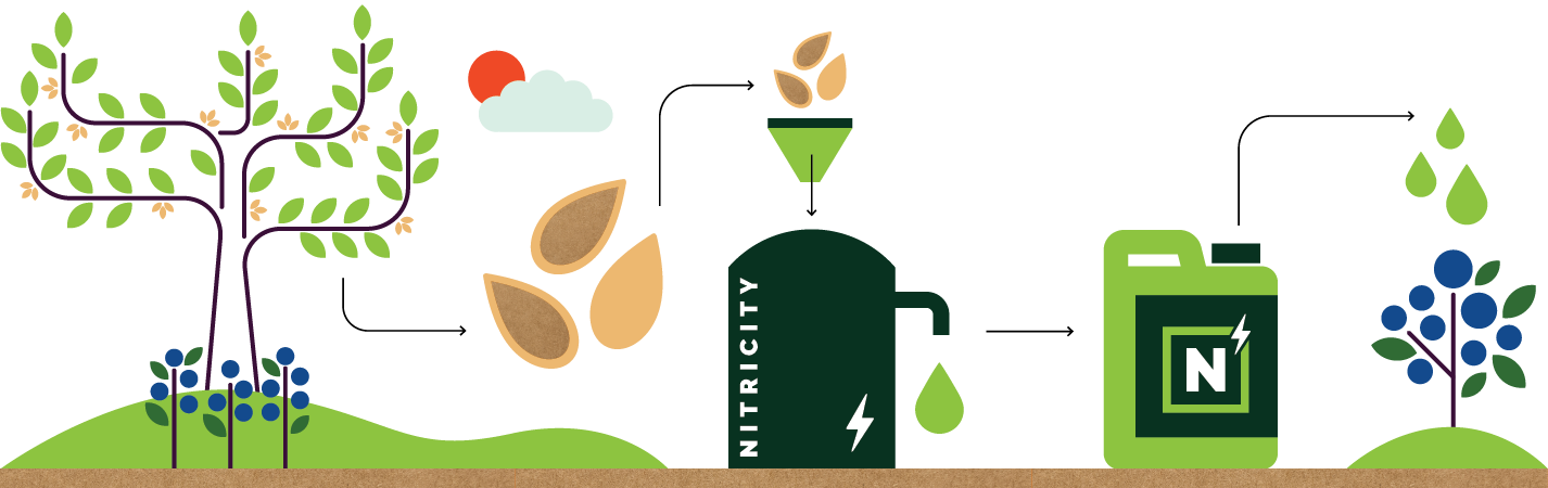 Nitricity Supports CCOF Foundation - CCOF.org