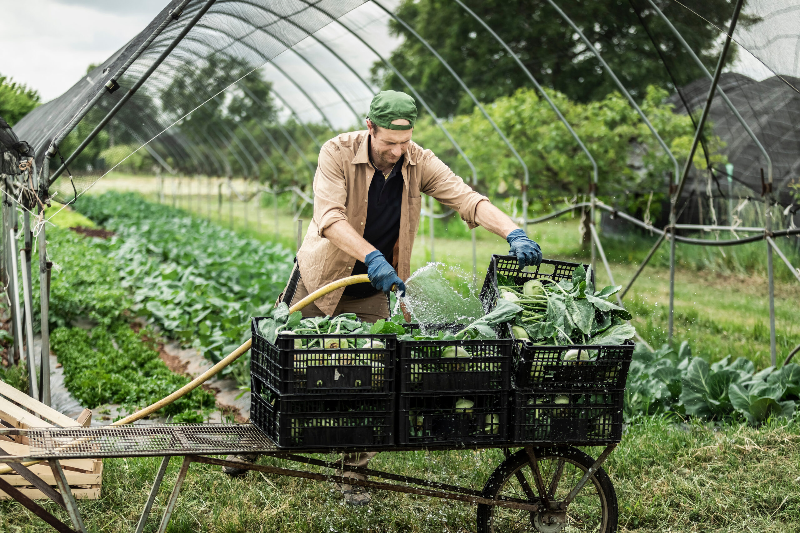 Post-Harvest Processing Needs in California - CCOF