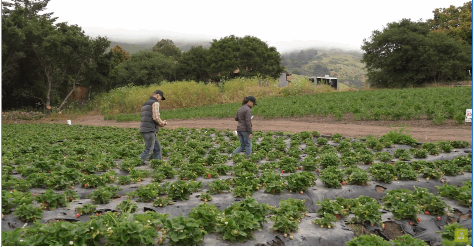 USDA Organic Integrity Database Guide