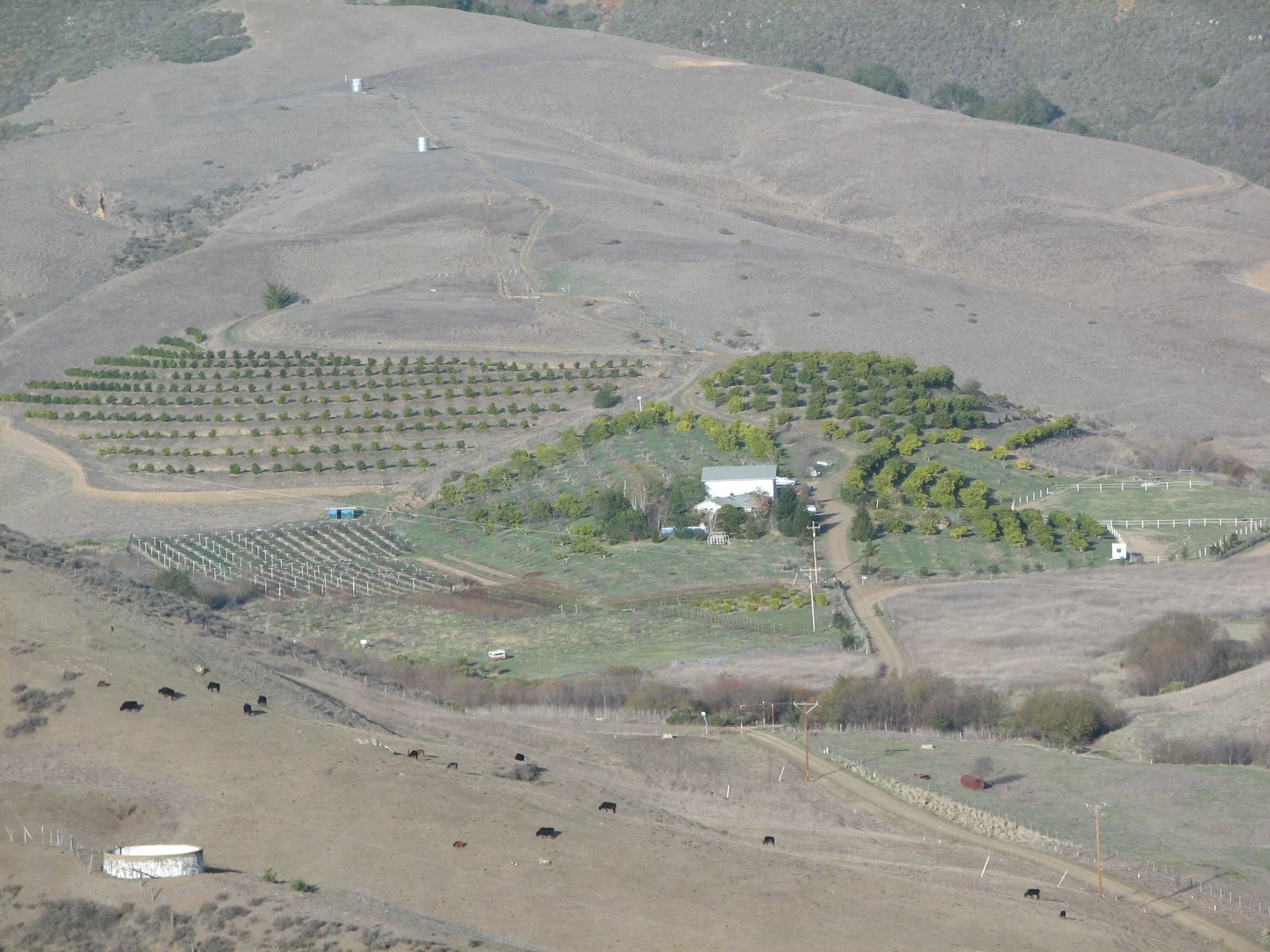 Job Opening: Caretaker/Farm Laborer - CCOF.org